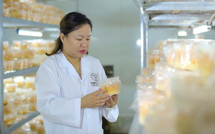 Nữ nông dân thu tiền tỷ từ đông trùng hạ thảo - Cổng Thông Tin Hội Liên ...